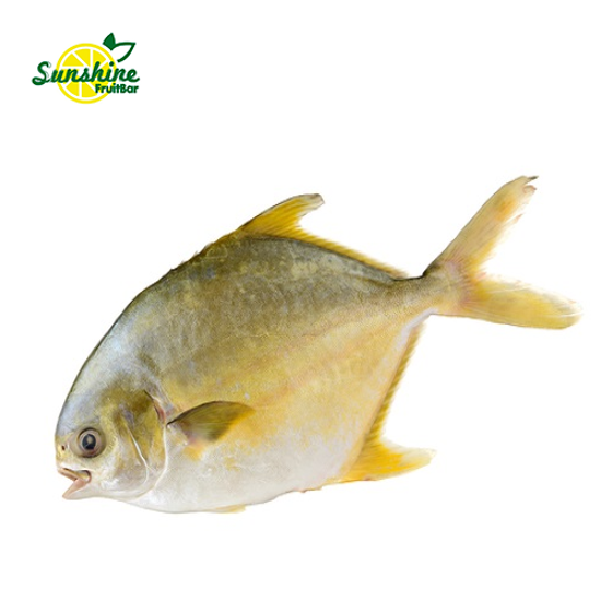 Sunshine Fruitbar. GOLDEN PAMPANO